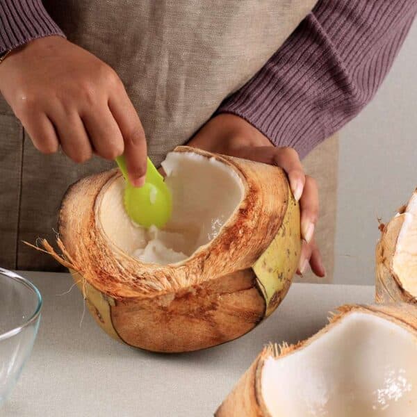 10 Health Desiccated Coconut Benefits For Your Body
